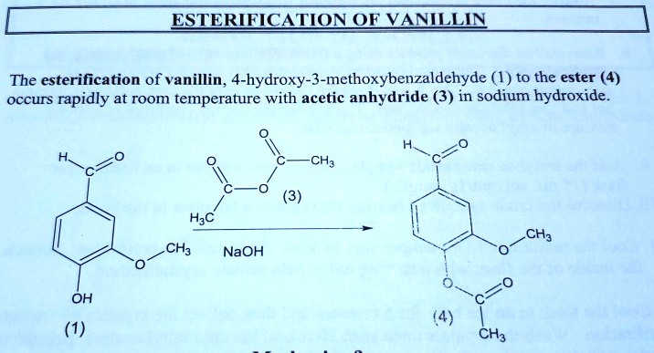 esterification of vanillin the esterification of vanillin 4 hydroxy 3 methoxybenzaldehyde 1 to ...