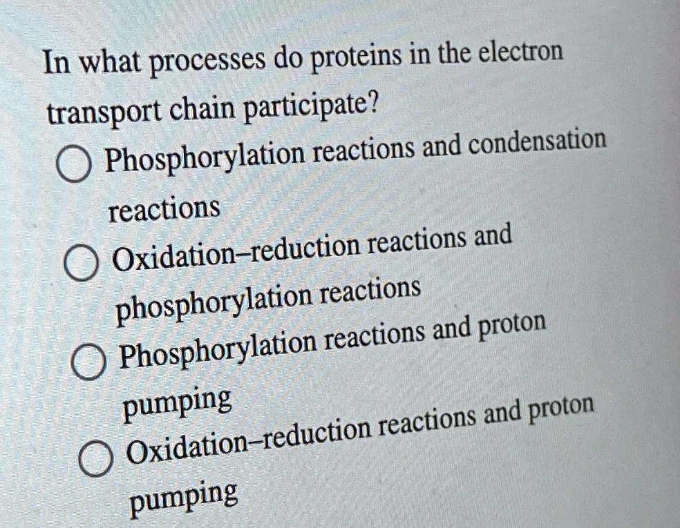 In what processes do proteins in the electron transport chain ...
