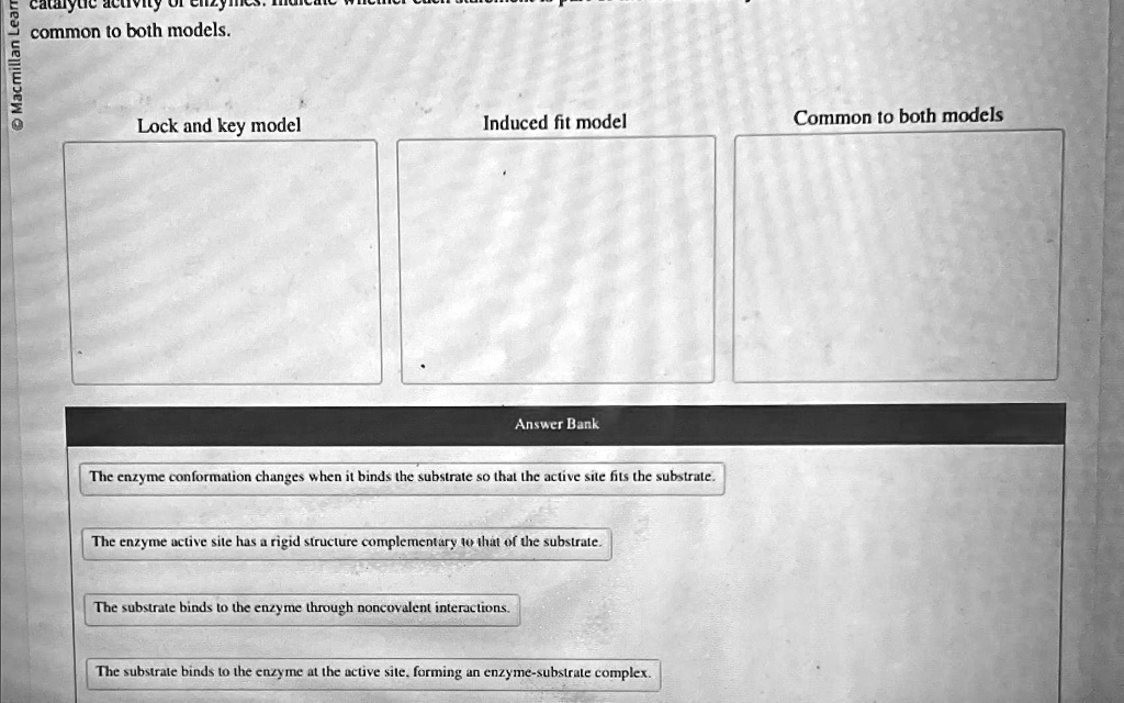 Solved Common To Both Models Lock And Key Model Induced Fit Model
