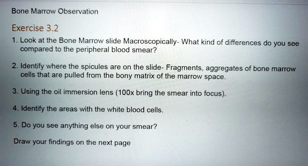 please help me with this exercise bone marrow observation exercise 32 ...