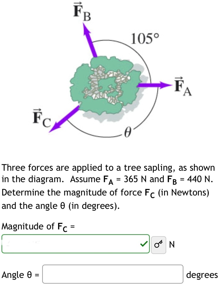 three forces are applied to a tree sapling as shown in the diagram ...