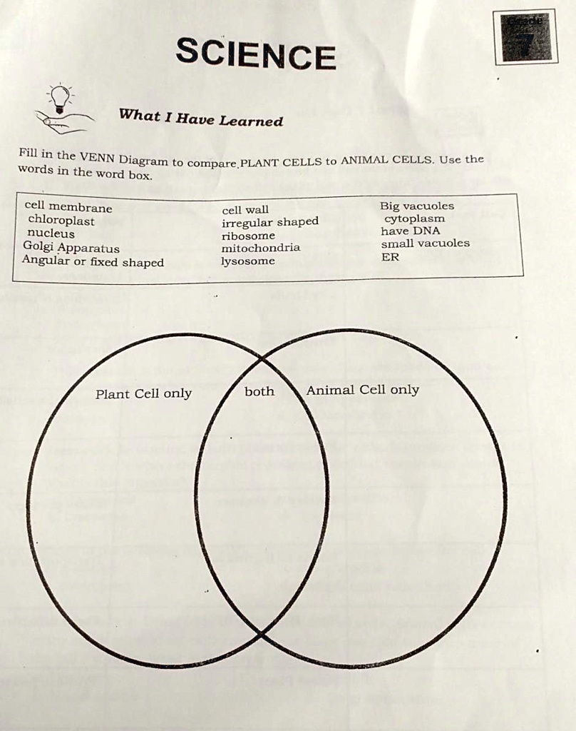 SCIENCE What I Have Learned Fill in the VENN Diagram to compare PLANT ...