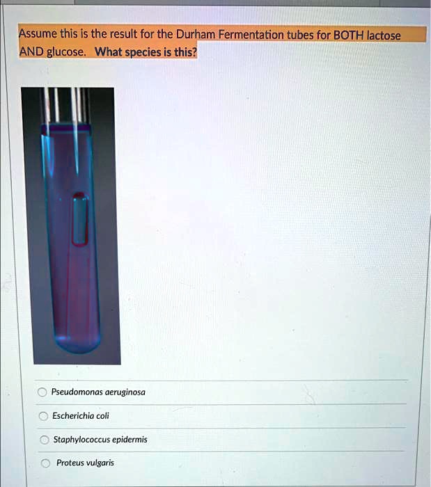 Assume this is the result for the Durham Fermentation tubes for BOTH ...