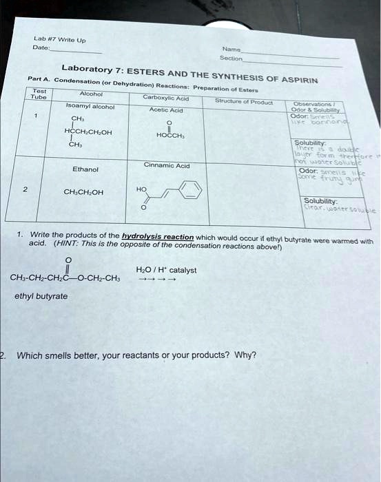 SOLVED: Lab #7 Write Up Data: Name: [Your Name] Section: [Your Section ...