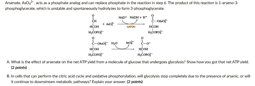 SOLVED: Texts: Arsenate, AsO3^3-, acts as a phosphate analog and can ...