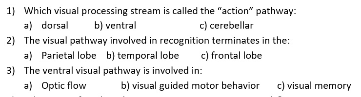 SOLVED: 1) Which visual processing stream is called the "action" pathway: a) dorsal b) ventral c ...
