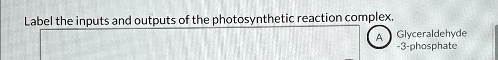 SOLVED: Label the inputs and outputs of the photosynthetic reaction ...
