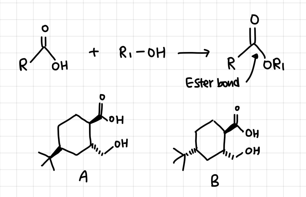 SOLVED: Intermolecular reactions occur when two functional groups are ...