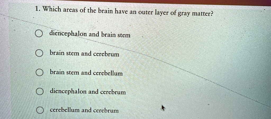 1. Which areas of the brain have an outer layer of gray matter ...