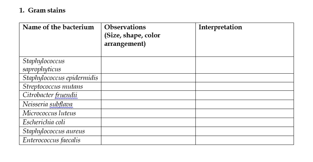 1. Gram stains Name of the bacterium Observations Interpretation (Size ...