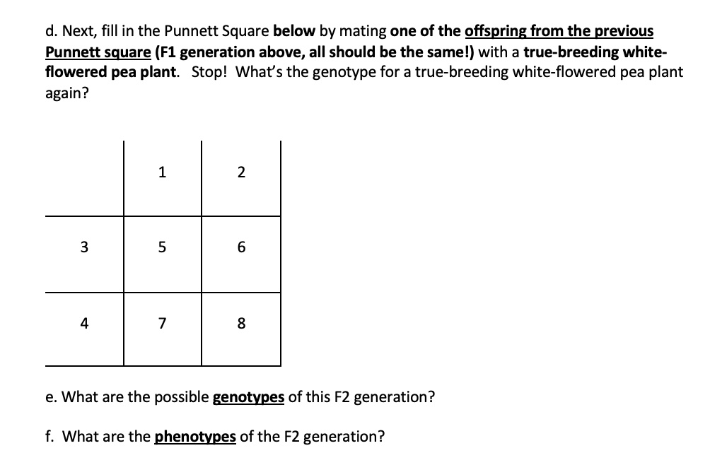 d next fill in the punnett square below by mating one of the gffspring ...