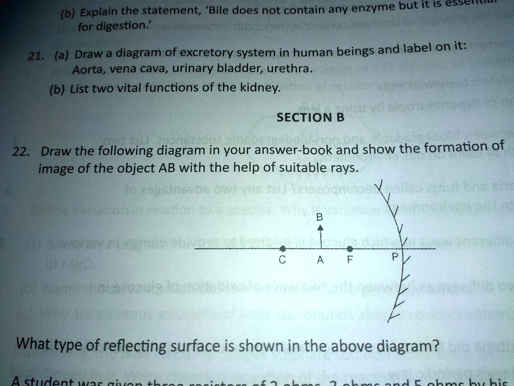 SOLVED: Draw the following diagram and show the formation of the image ...