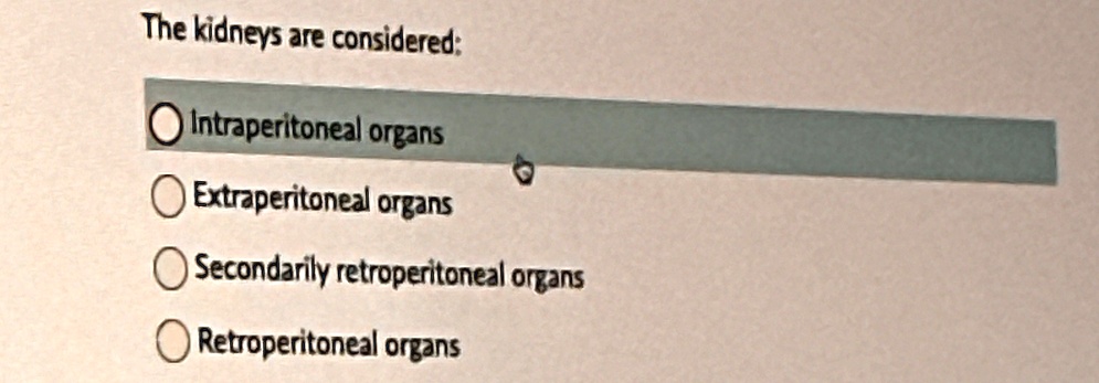 the kidneys are considered intraperitoneal organs extraperitoneal ...
