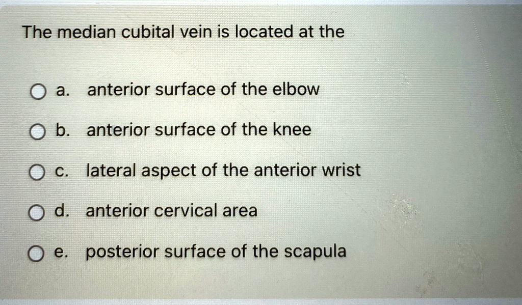 The median cubital vein is located at the a. anterior surface of the ...
