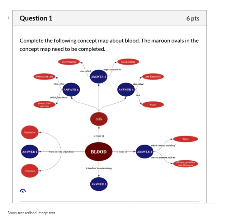 Complete the following concept map about blood. The maroon ovals in the ...