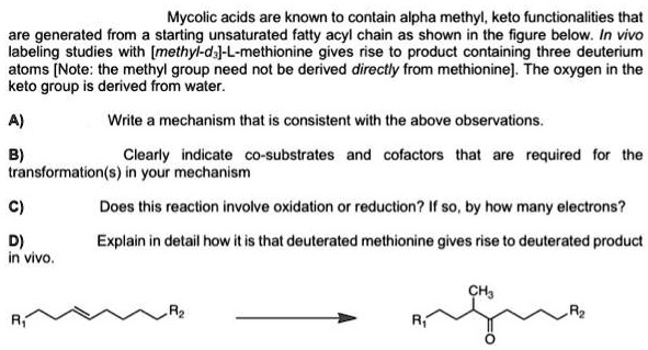 SOLVED: Mycolic acids are known to contain alpha methyl; keto ...