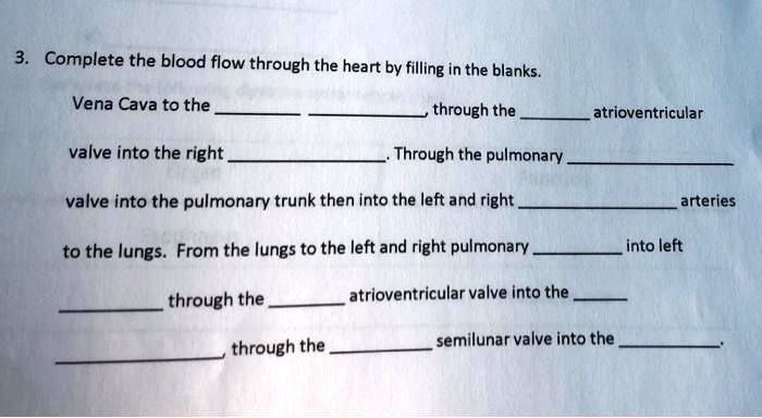complete the blood flow through the heart by filling in the blanks vena ...