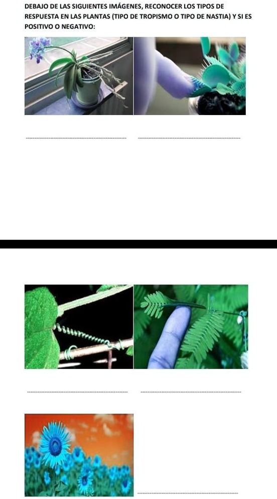 SOLVED: AYUDENME TONTISSSS (con cariño babes) DEBAJO DE LAS SIGUIENTES ...