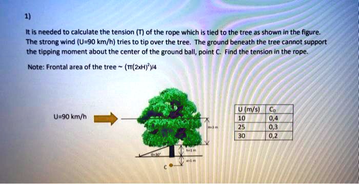 SOLVED: It is necessary to calculate the tension (T) of the rope which ...