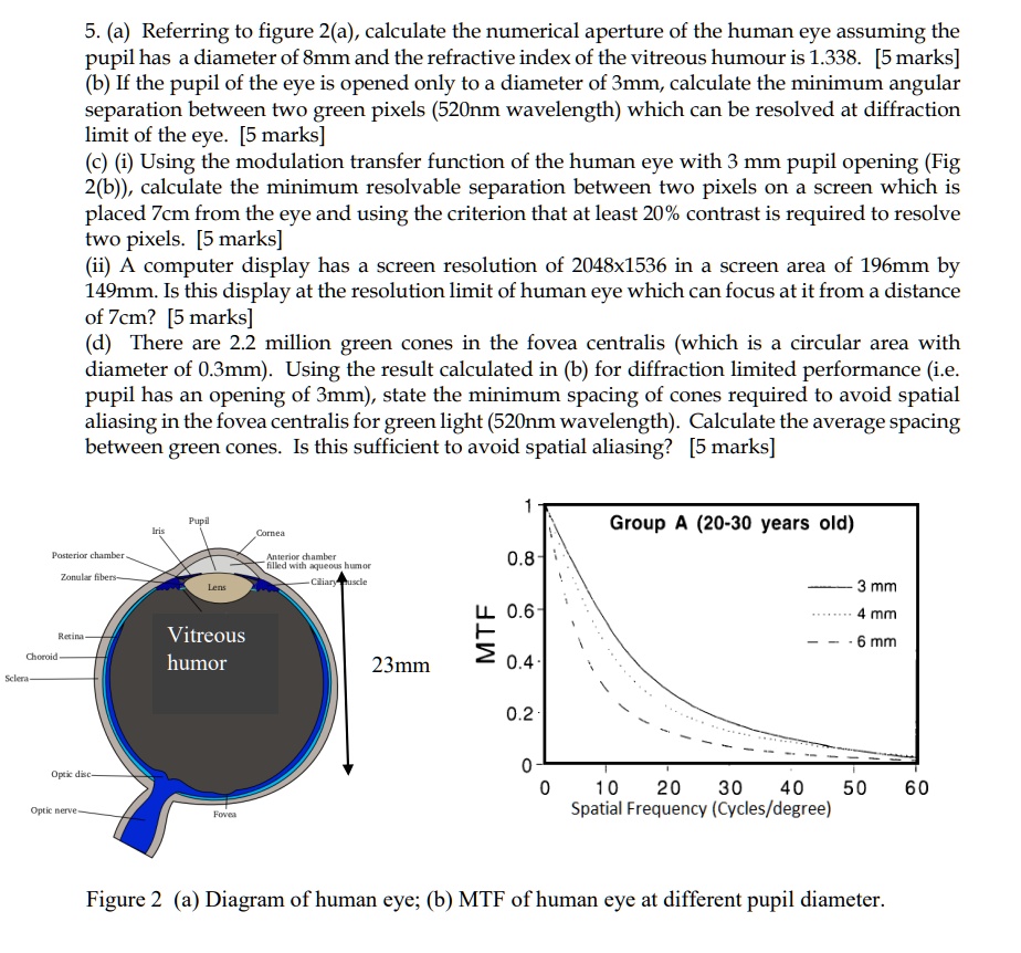 5 a referring figure 2a calculate the numerical aperture of the human ...