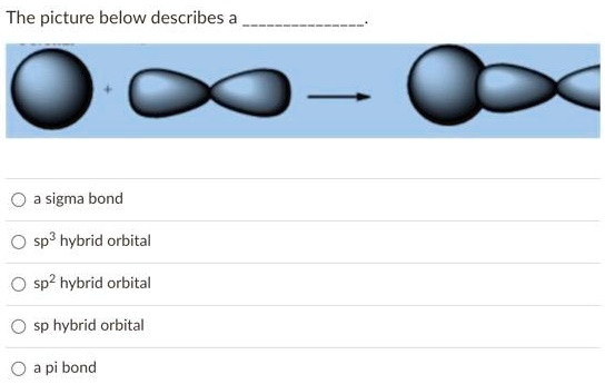 SOLVED:The picture below describes sigma bond sp? hybrid orbital sp2 ...