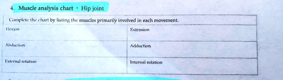 4. Muscle analysis chart Hip joint Complete the chart by listing the ...