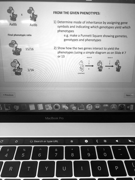 SOLVED: FROM THE GIVEN PHENOTYPES: 1) Determine mode of inheritance by ... SOLVED: FROM THE GIVEN PHENOTYPES: 1) Determine mode of inheritance by ...