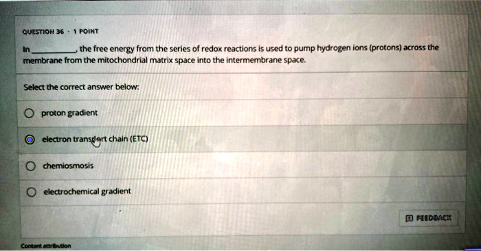 SOLVED: question 36 Point the free energy from the series of redox reactions used pump hydrogen ...