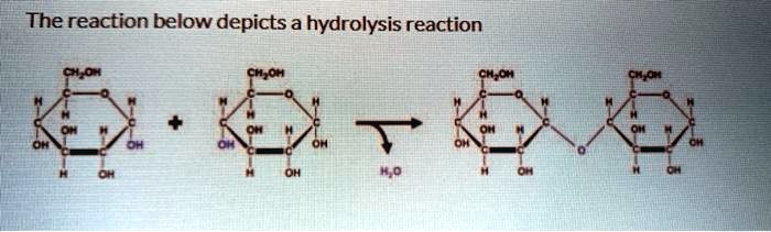 SOLVED: The reaction below depicts a hydrolysis reaction