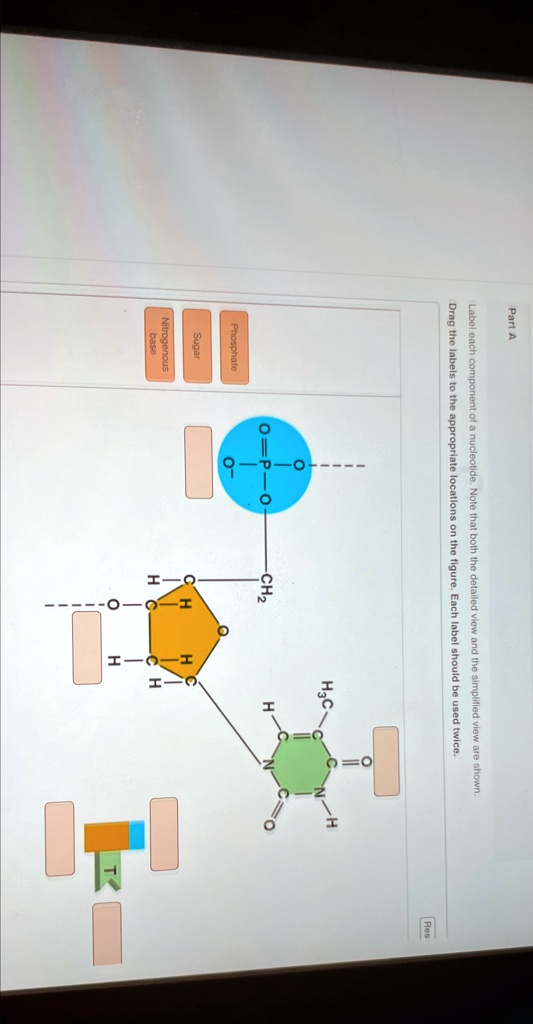 [GET ANSWER] Part A Label each component of a nucleotide. Note that ...