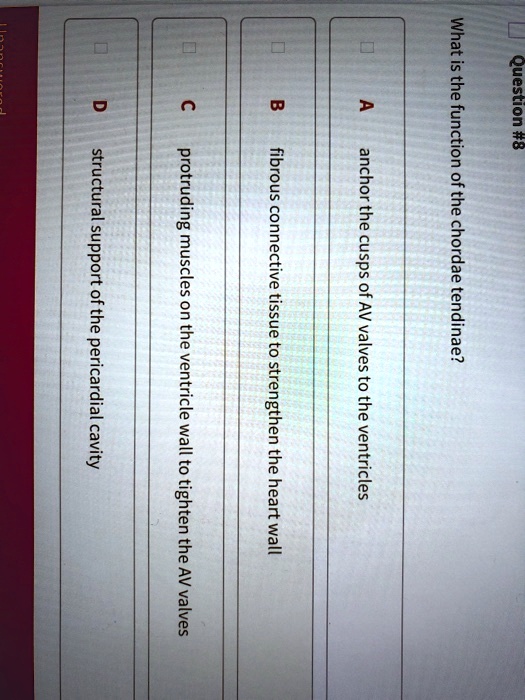 SOLVED: What is the function of the chordae tendineae? Structural ...