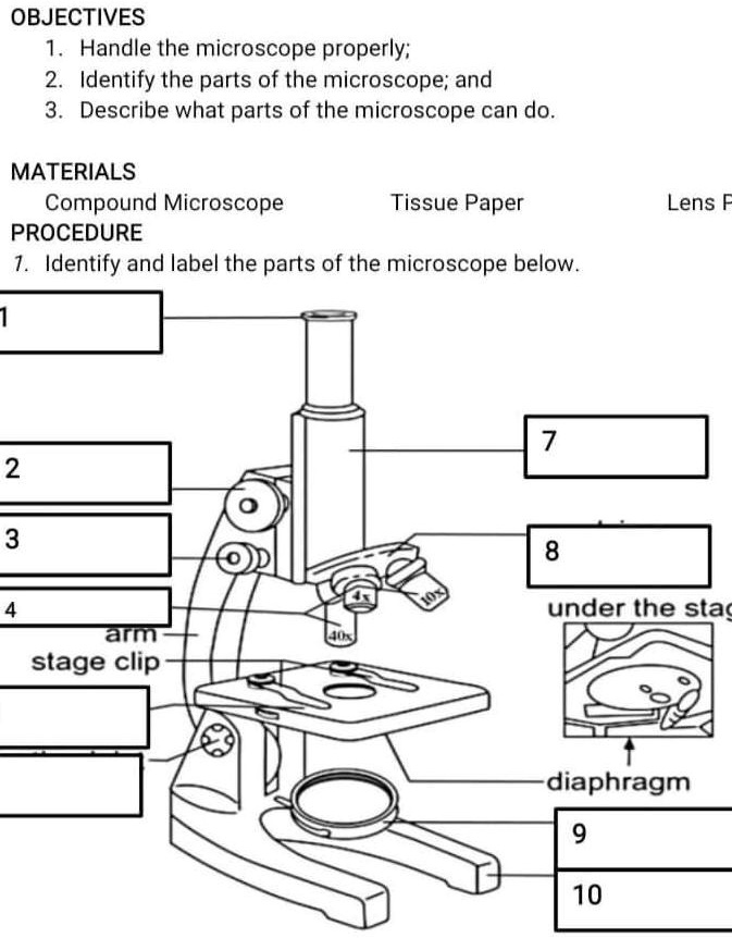 SOLVED: OBJECTIVES Handle the microscope properly; Identify the parts ...