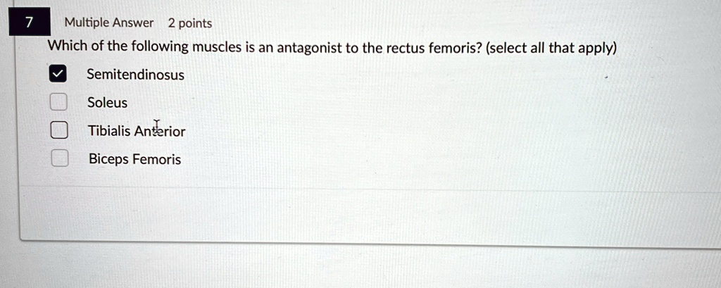 7 multiple answer 2 points which of the following muscles is an antagonist to the rectus femoris ...