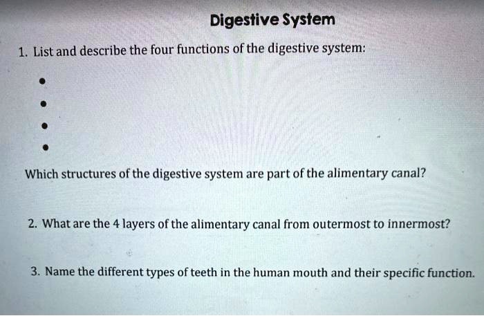 Digestive System 1. List and describe the four functions of the ...