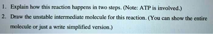 SOLVED: Explain how this reaction happens in two steps. (Note: ATP is ...