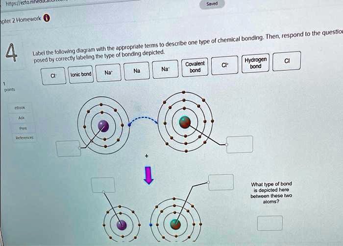 [GET ANSWER] https://ezto.mhe pter 2 Homework 4 Seved Label the following diagram with the ...