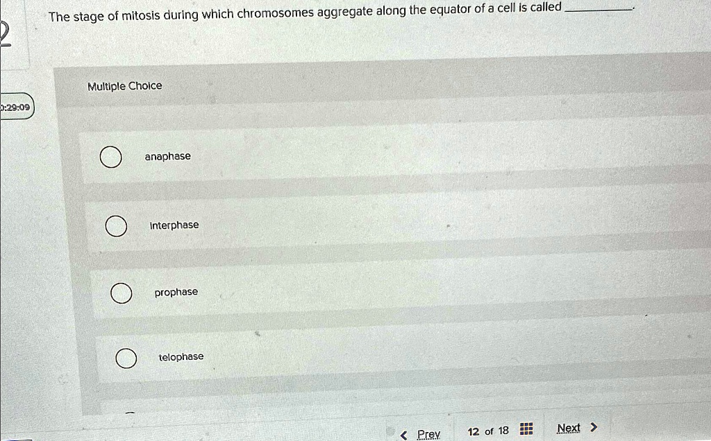 SOLVED: The stage of mitosis during which chromosomes aggregate along ...