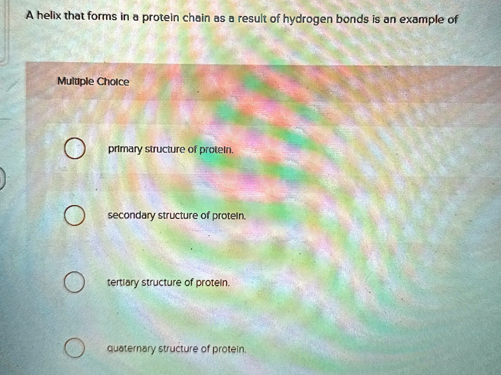 A helix that forms in a protein chain as a result of hydrogen bonds is ...