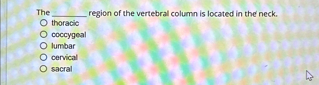 The region of the vertebral column is located in the neck. thoracic ...