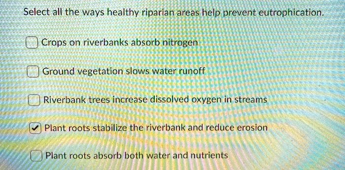 Select all the ways healthy riparian areas help prevent eutrophication ...
