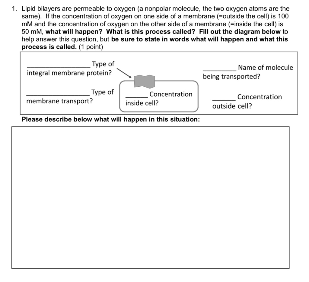 SOLVED:Lipid bilayers are permeable to oxygen (a nonpolar molecule, the ...