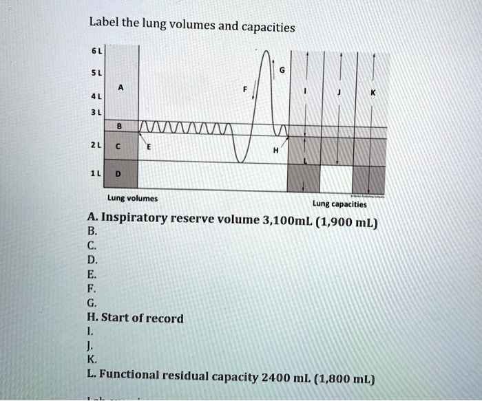 label the lung volumes and capacities lung volumes lung capacities ...