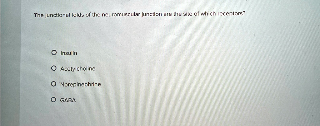 The junctional folds of the neuromuscular junction are the site of ...