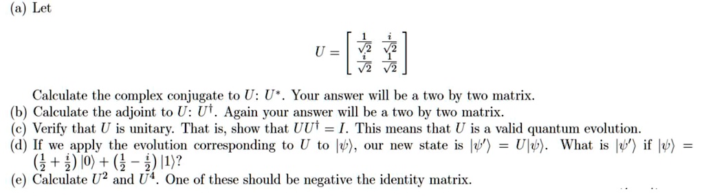 (a) Let U = Calculate the complex conjugate to U: U*. Your answer will ...