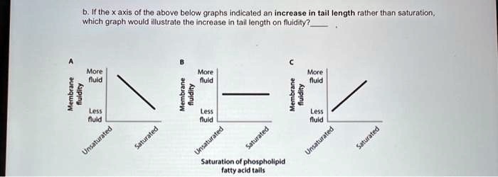 Membrane fluidity Less fluid b. If the x axis of the above below graphs indicated an increase in ...