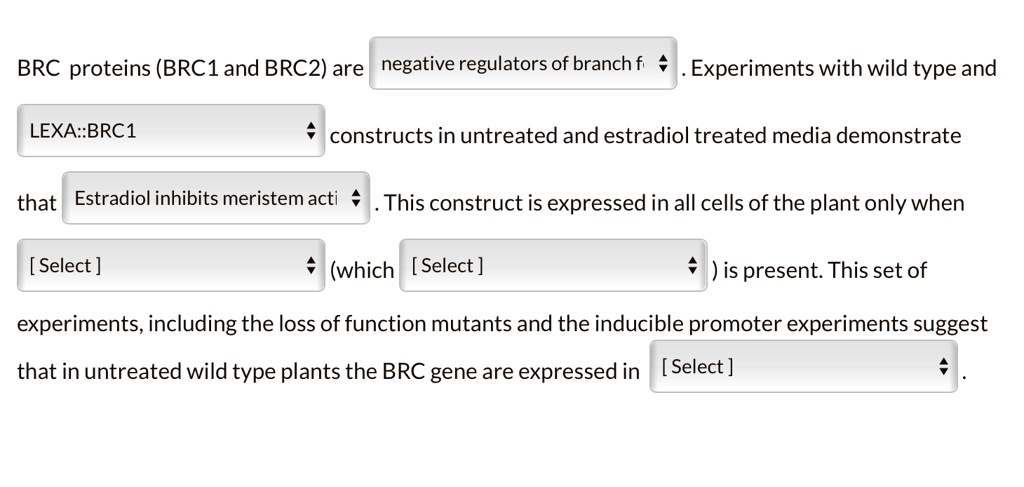 brc proteins brc1 and brc2 are negative regulators of branch f ...