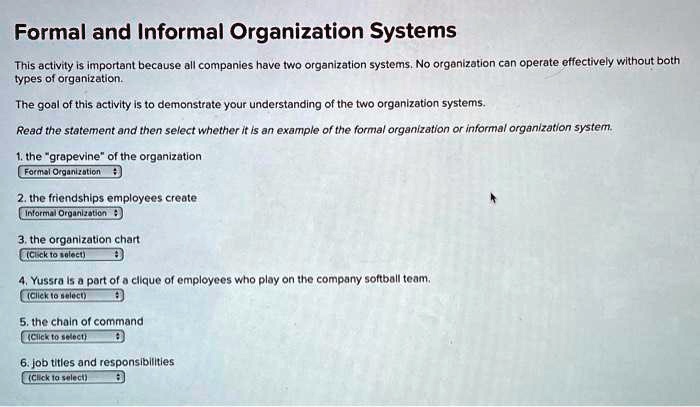 Formal and Informal Organization Systems This activity is important ...