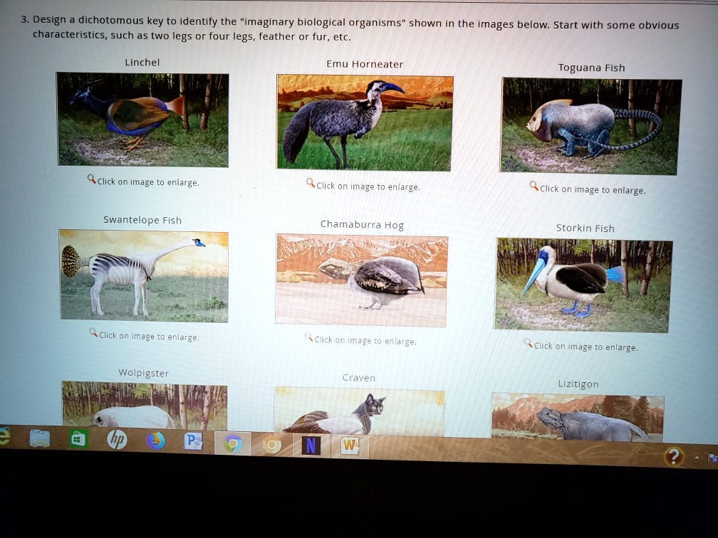 SOLVED: 3. Design dichotomous key to identify the "imaginary biological ...