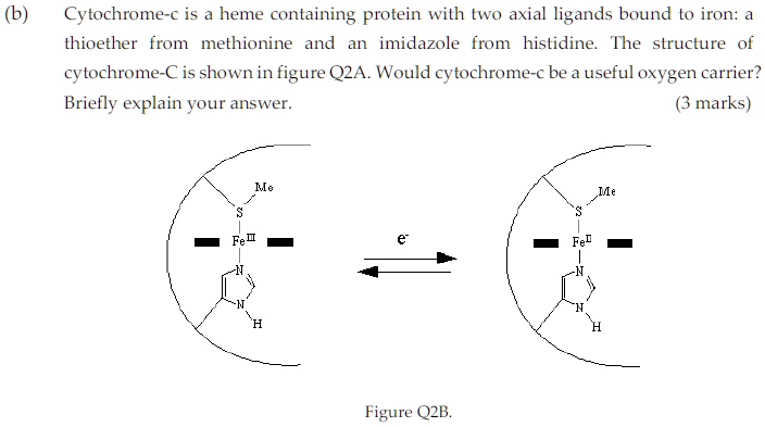 SOLVED: (b) Cytochrome-c is a heme containing protein with two axial ...