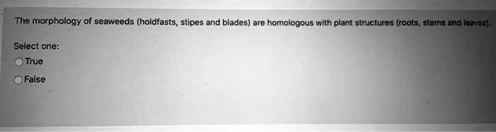 The morphology of seaweeds holdfasts stipes and blades are...